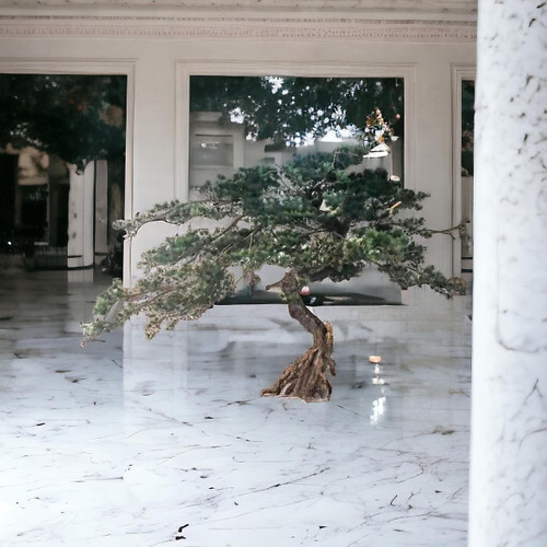 Remo: Lifelike Twisted Pine Tree - Realistic Artificial Pine Trees ...