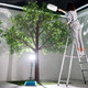 How to Clean Large Artificial Trees - jasboutique.co.uk