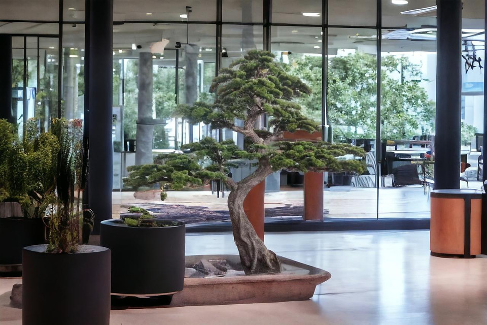 Mariel: Lifelike Faux Bonsai Trees - Large Artificial Beauties for Your ...