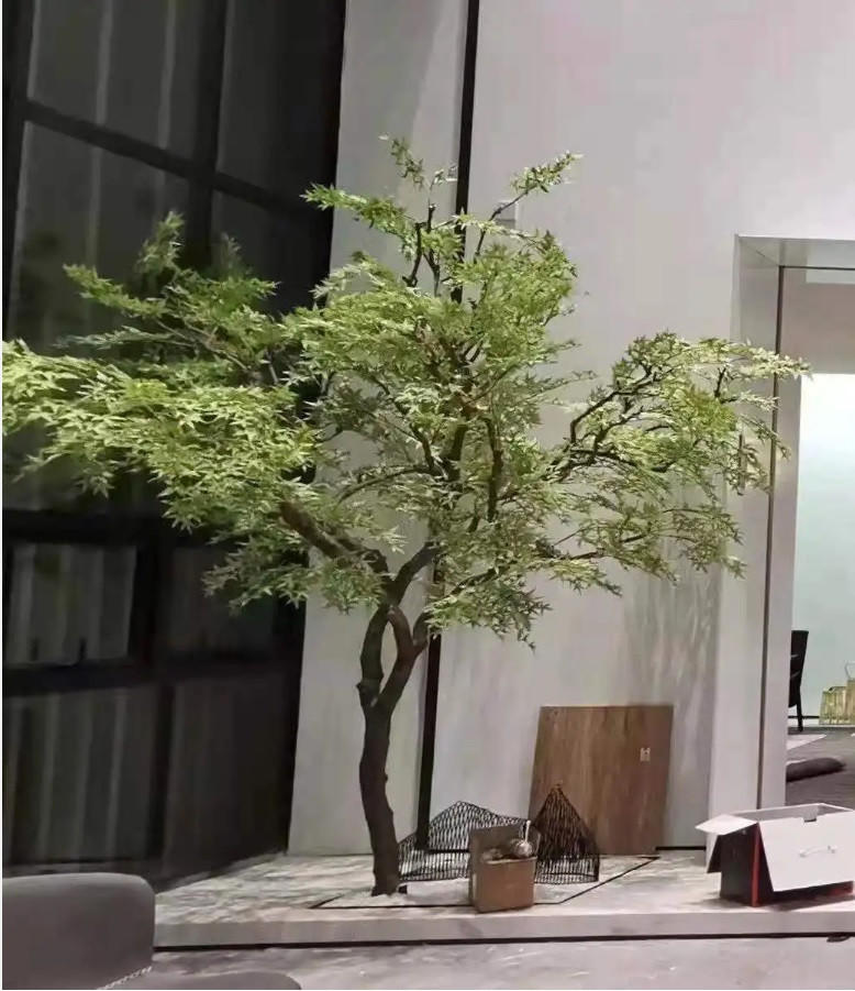 indoor tree large