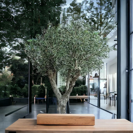 Orla: Extra Large Faux Olive Tree - Artificial Mature Olive Tree ...