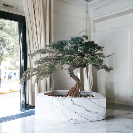 Remo: Lifelike Twisted Pine Tree - Realistic Artificial Pine Trees ...