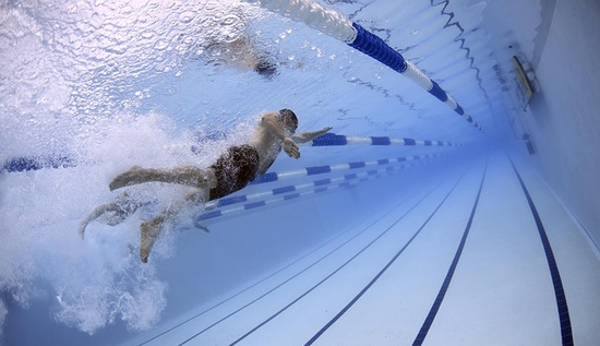 Identifying the Different Types of Officials in Competitive Swimming ...