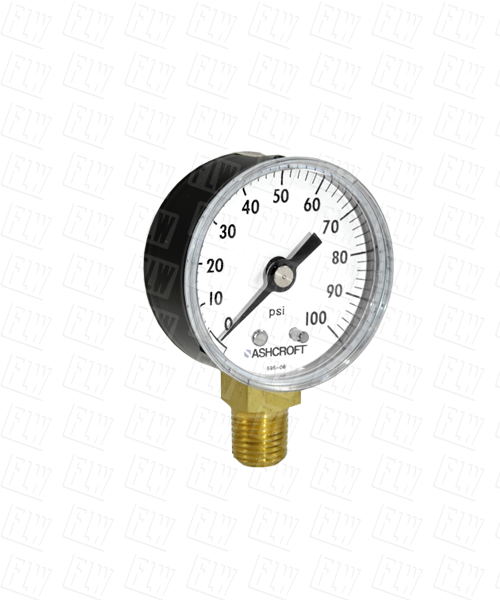 Ashcroft 20-W-1005-H-02L-100# Type 1005 Commercial Pressure Gauge 0-100 ...