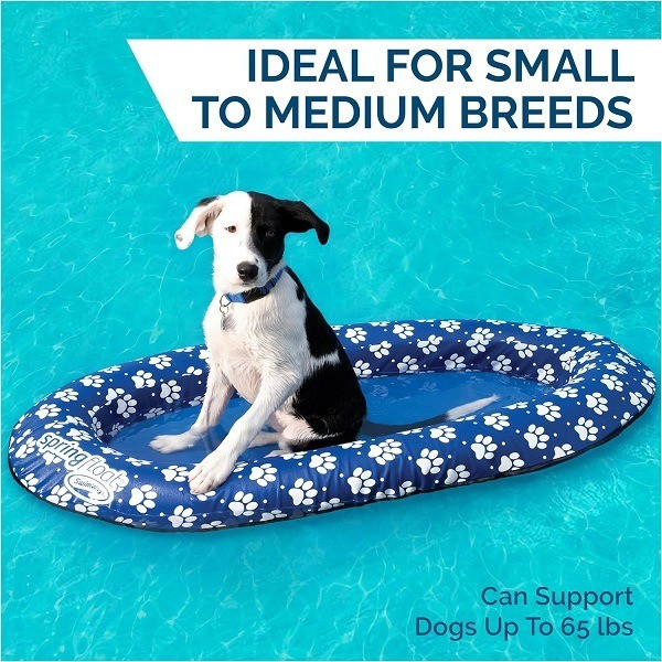 SwimWays Paddle Paws Spring Dog Pool Float