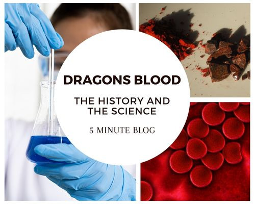 The history and Science on Dragons blood - Cultivate Elevate