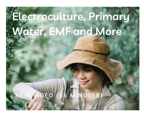 New Video: Primary Water, Electroculture, EMFs, and a Whole Lotta Mind ...
