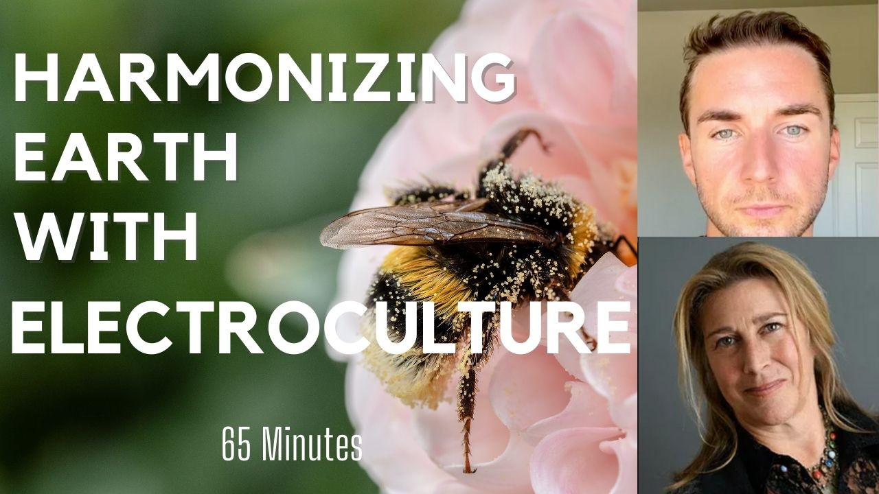 Harmonizing the earth with Electroculture - Cultivate Elevate