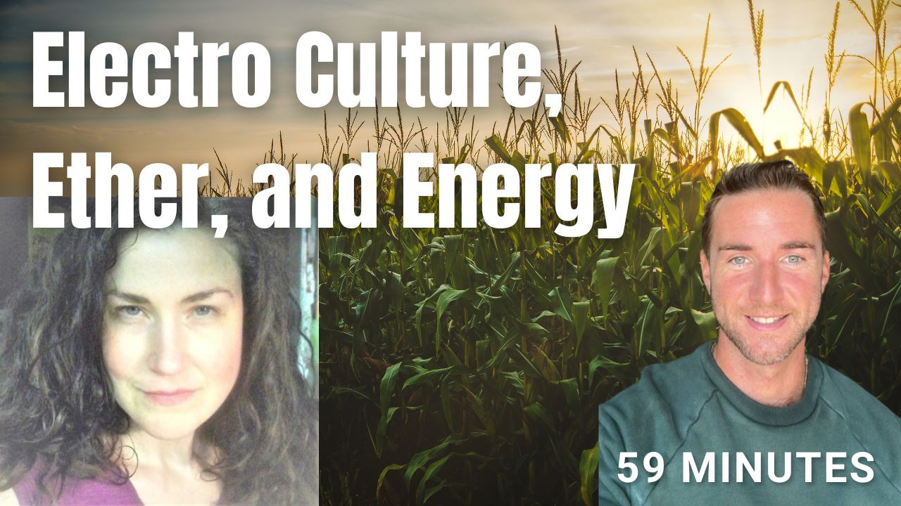 Electro Culture Ether and Energy Amandha Vollmer ADV with Matt Roeske ...