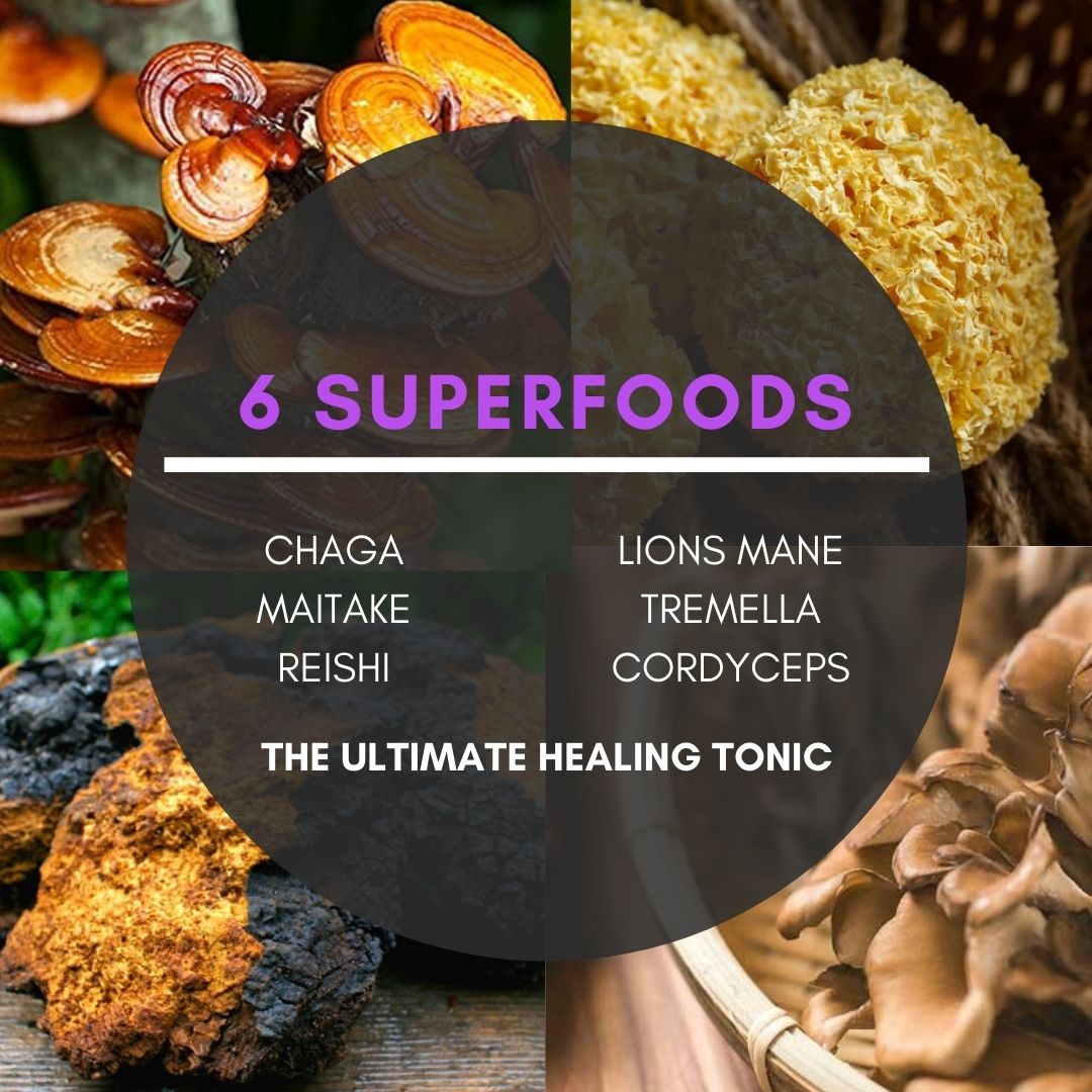 Detox Trio - Shilajit, 6mix, Cordyceps Sinensis