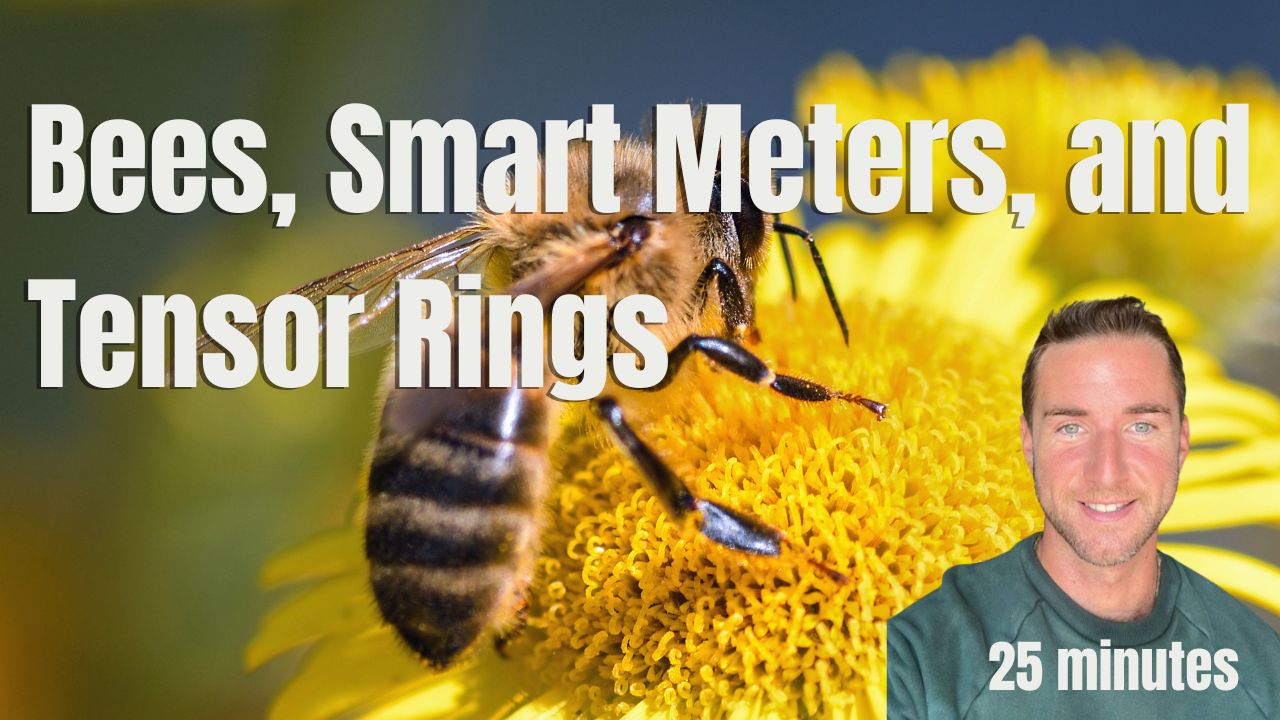 Bees, Smart meters, Dragons blood, Vitamins, and Tensor Rings ...