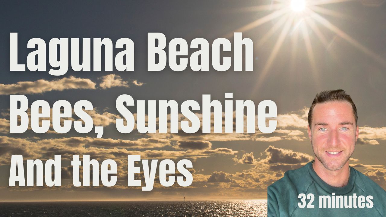 Laguna beach, Sunshine, Bees, and eyesight tips by Cultivateelevate ...