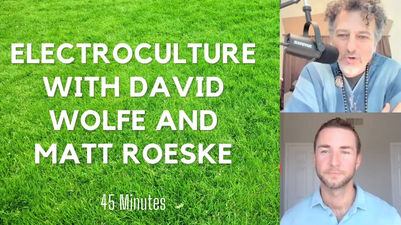 David avocado Wolfe speaks to Matt Roeske on Electroculture - Cultivate ...