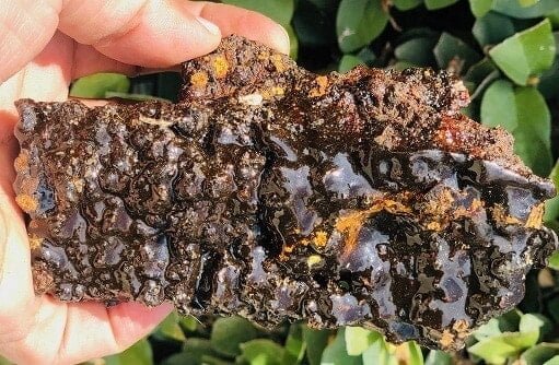 Shilajit and the Science - Cultivate Elevate