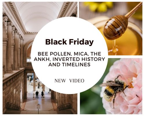New Youtube Video: Black Friday, Bee Pollen, Our potential, The Ankh ...