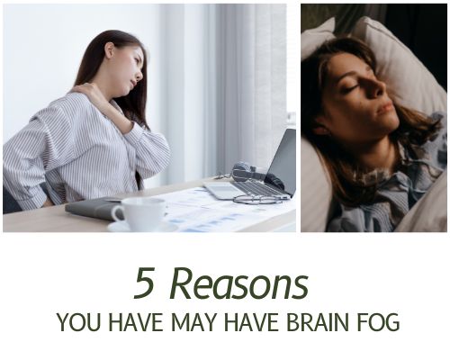 Brain Fog and Solutions - Cultivate Elevate