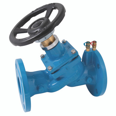 2" PN16 FLANGED CI DOUBLE REG Valve - Signet