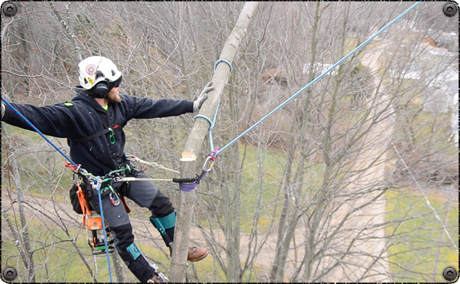 MSA 15107-00 Double Work Positioning Rope 90052/D3|TestEquipmentUSA