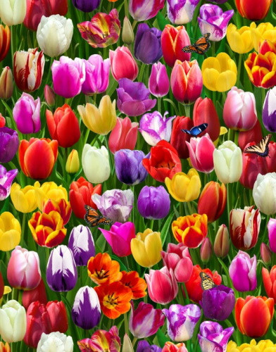 Multi-Color Tulips Floral Print Fabric - 664multi - Burst of Color ...