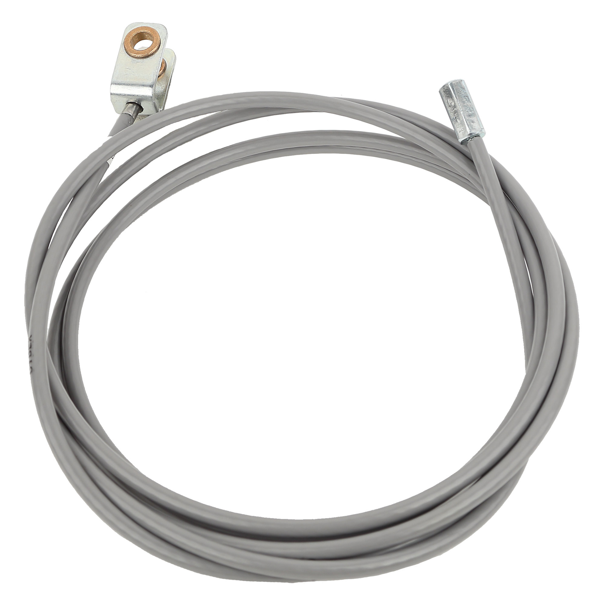 cable torso rotation