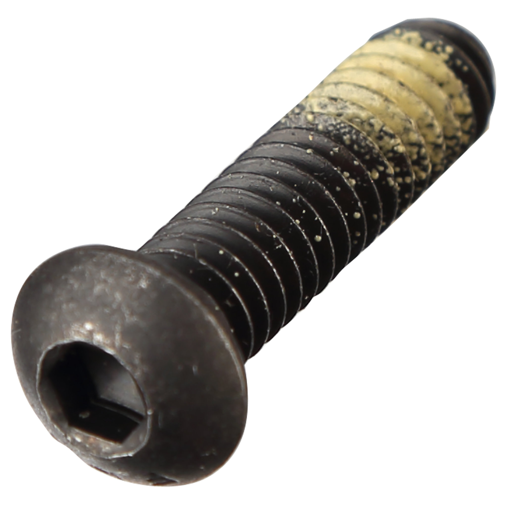 Replacement Screw for LifeFitness Treadmill Deck Springs & Clips