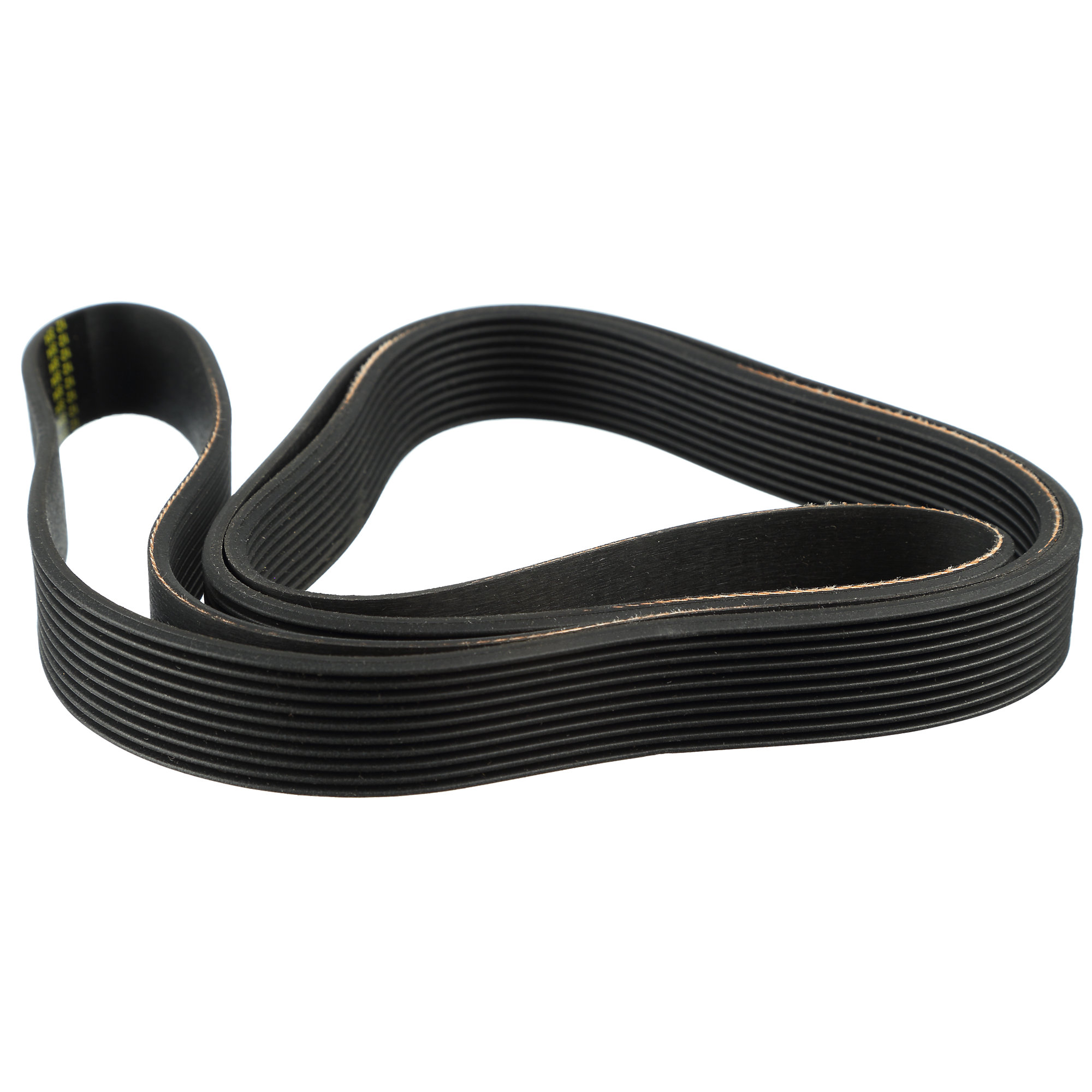 Drive Belt, 10 Rib, Octane Fitness - Sportsmith