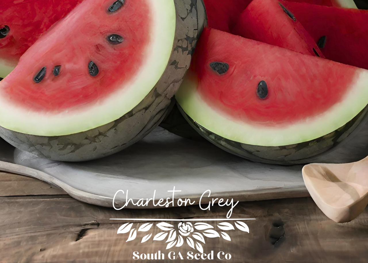 Heirloom Charleston Grey Watermelon Seeds | South Ga Seed Co