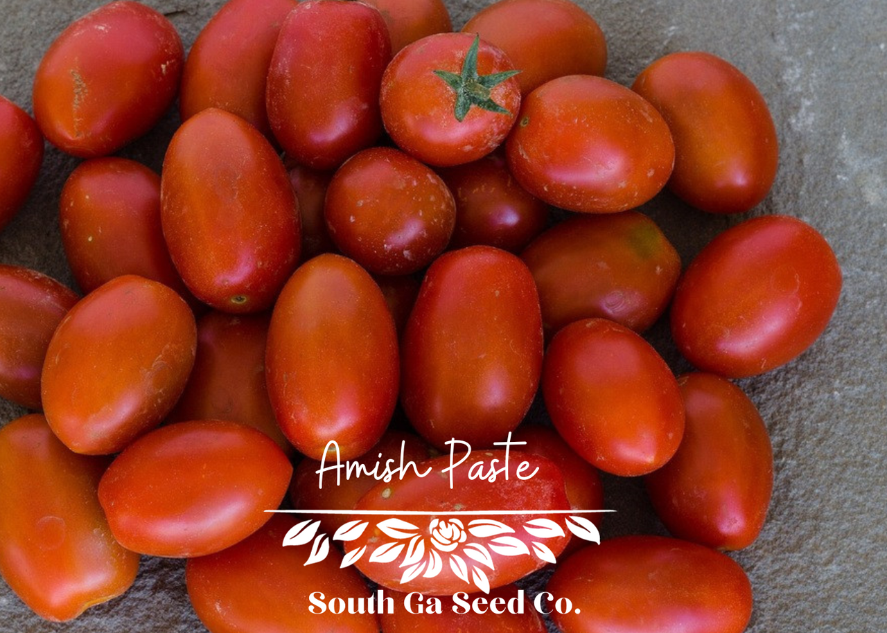 Amish Paste Tomato Determinate Or Indeterminate
