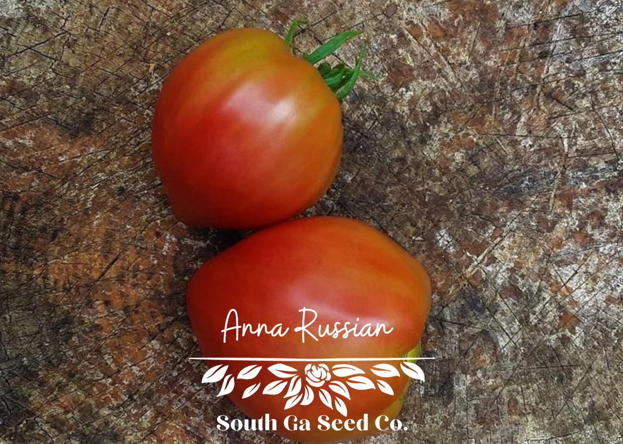 Heirloom Anna Russian Tomato Seeds | South Ga Seed Co