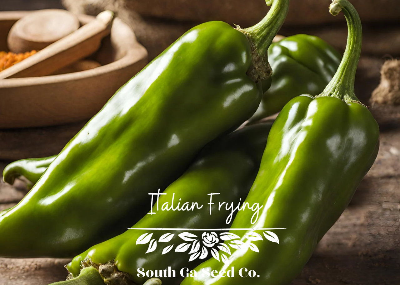 Heirloom Italian Frying Pepper Seeds | South Ga Seed Co
