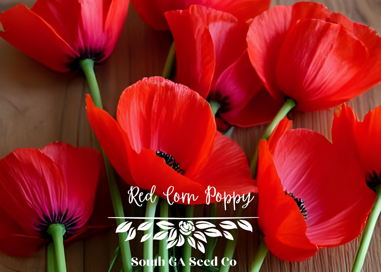 Red Corn Poppy Seeds