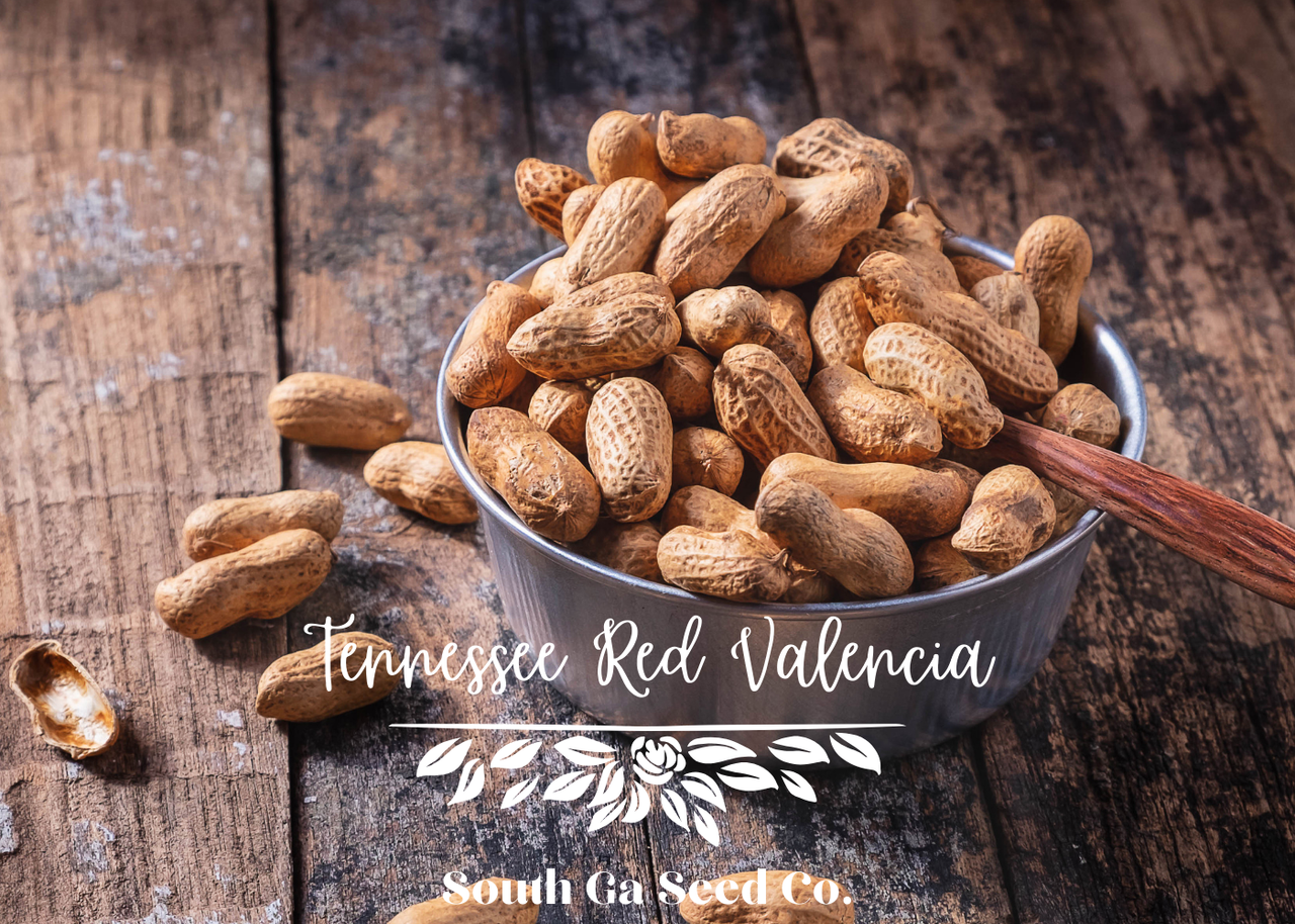 Tennessee Valencia Peanuts