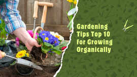 Top 10 Tips for Growing Organically - Heirloom Vegetable Seeds | South ...