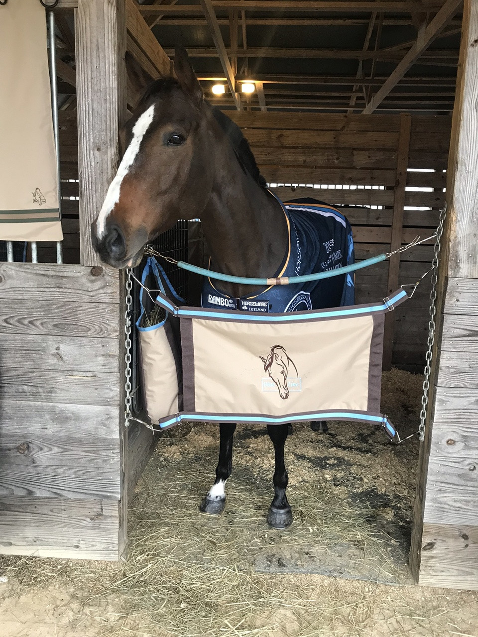 Stall Guard