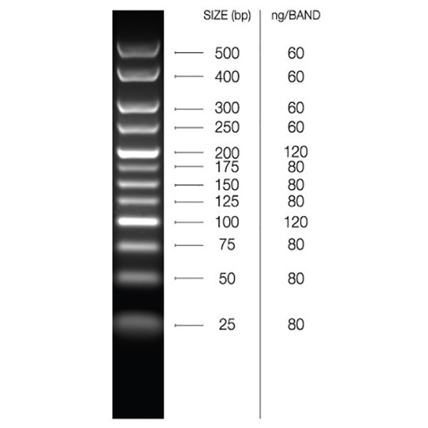 HyperLadder™ 1kb | BIO-33053