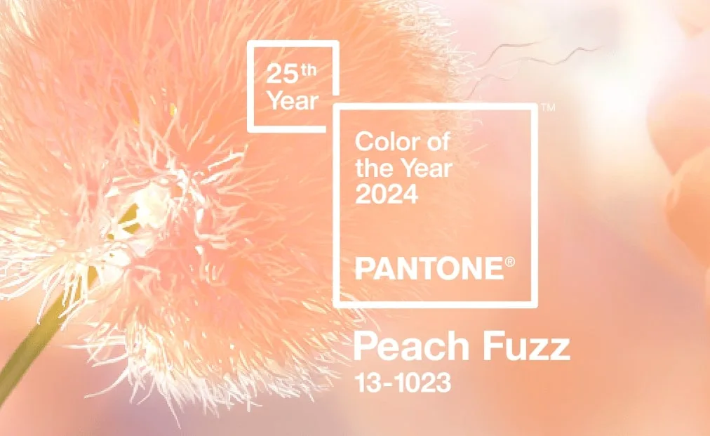 How to use Pantone 2024 Color of the Year Peach Fuzz in Jewelry Making ...