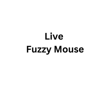 Live Fuzzy Mouse