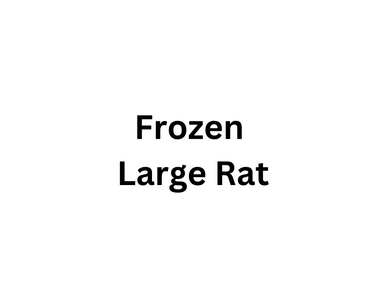 Frozen Large Rat