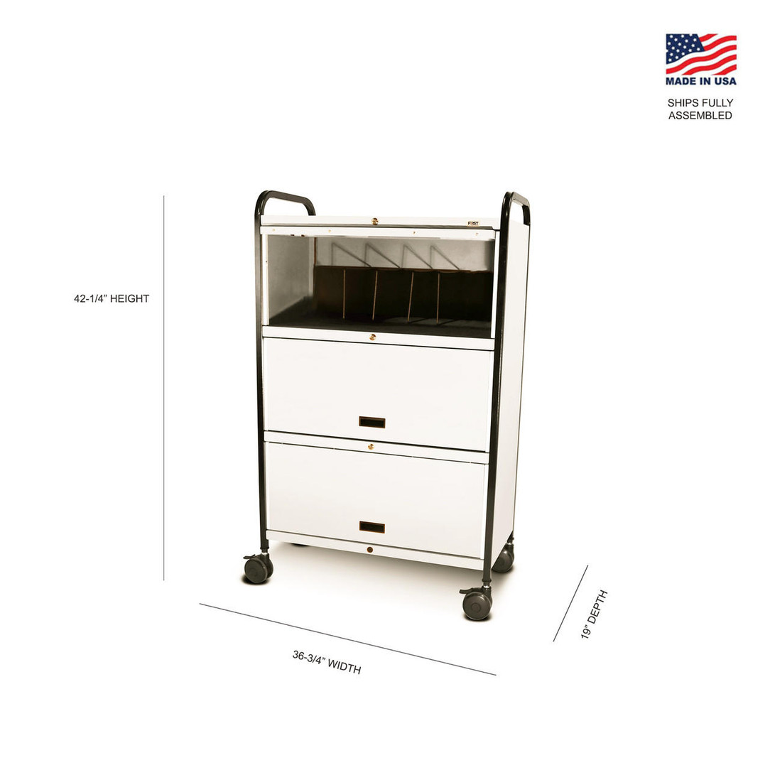 Mov-it Elite Chart Rack: Series II | Mobile Chart Rack | First Products