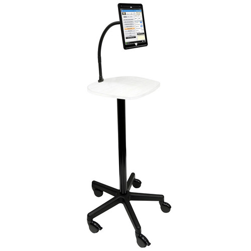 Mov-it Magneflex iPad Cart (Thermofoil) - First Products
