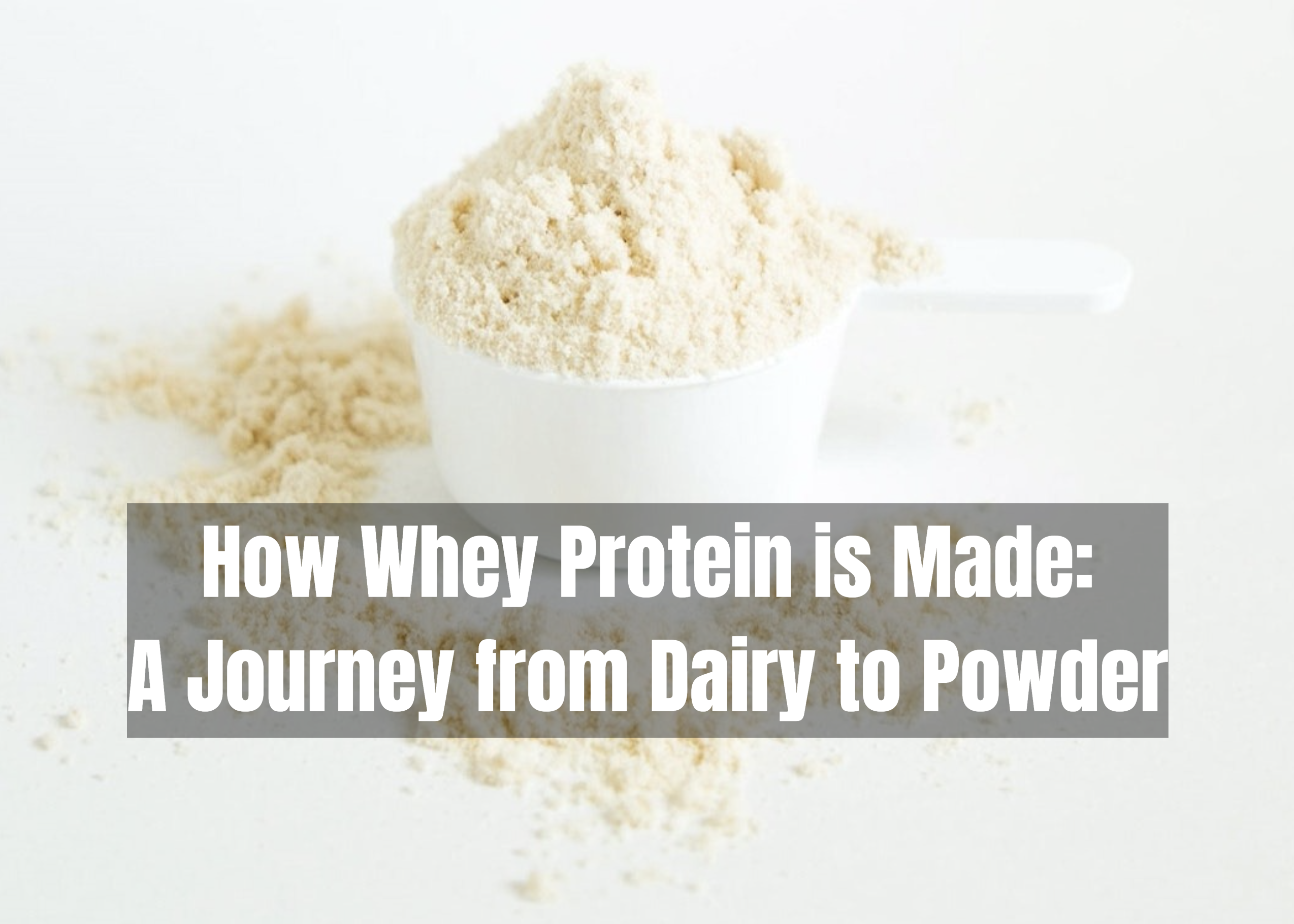 How Whey Protein is Made: A Journey from Dairy to Powder - Kaha Nutrition