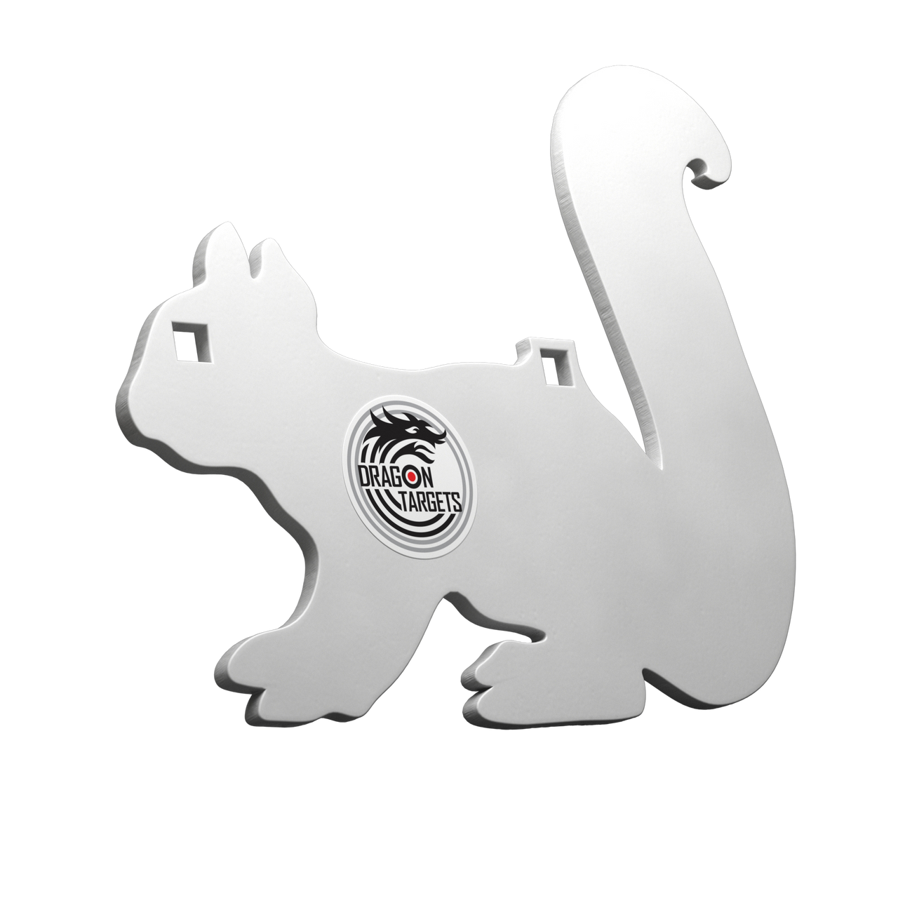 Squirrel Shooting Targets