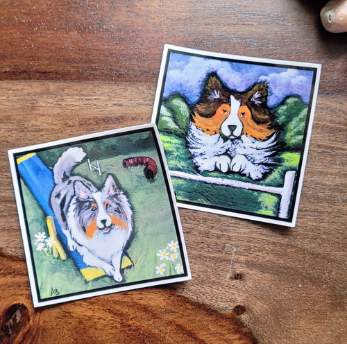 "Agility Shelties" Blue Merle and Sable Sheltie waterproof stickers ...