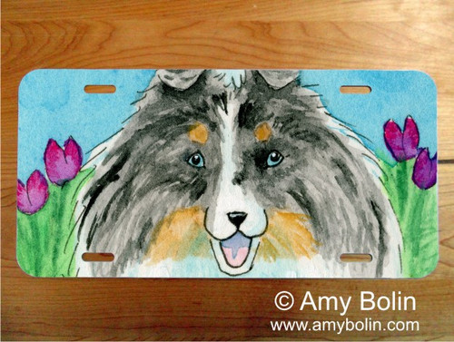 "Easter Sheltie" Blue Merle Shetland Sheepdog License Plate - Amy Bolin ...
