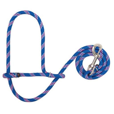 *D 3/8" POLY ROPE SHEEP HALTER WITH SNAP, ROYAL BLUE/BERRY - Palmer ...