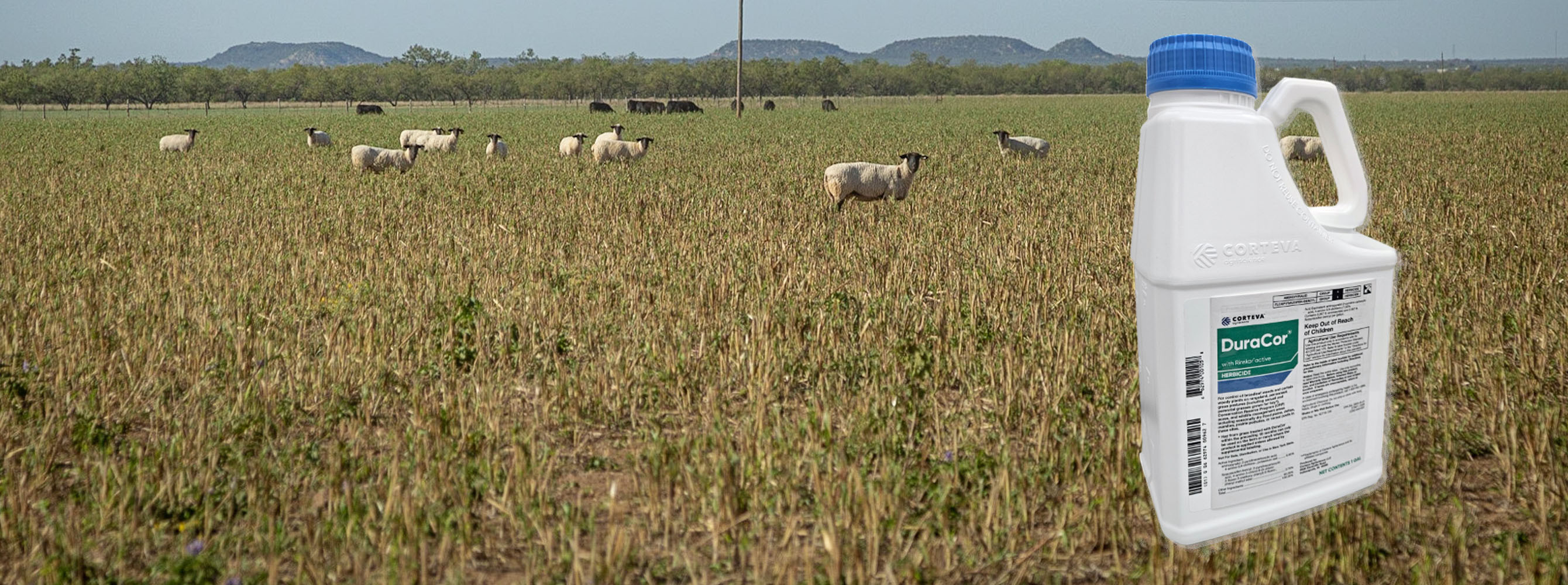Ranch & Farm Supply | Feed Store & Livestock Supplies | Palmer Feed
