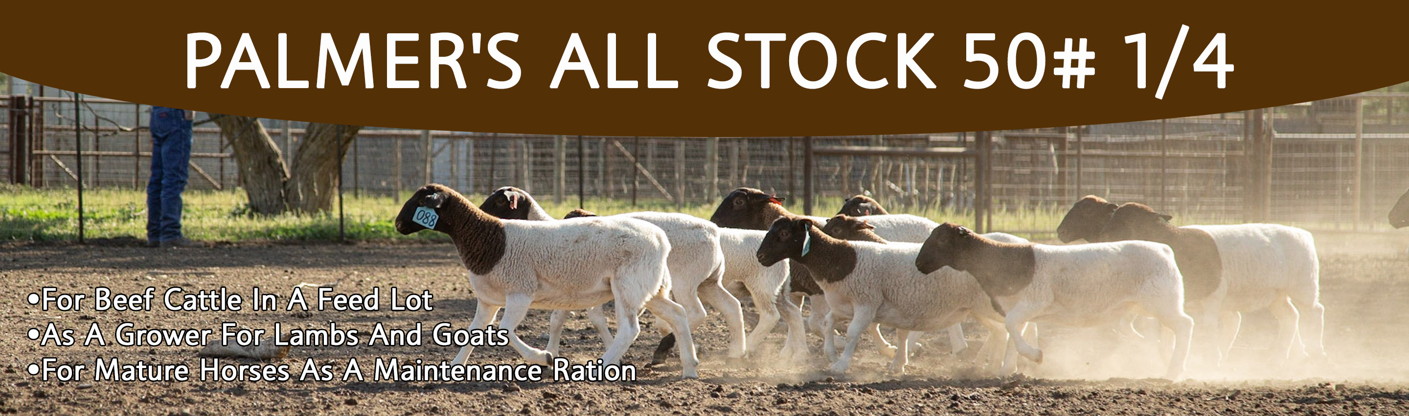 Ranch & Farm Supply | Feed Store & Livestock Supplies | Palmer Feed