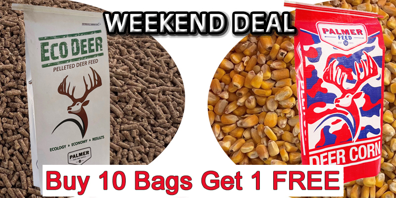 Ranch & Farm Supply | Feed Store & Livestock Supplies | Palmer Feed