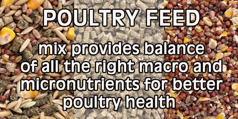 Ranch & Farm Supply | Feed Store & Livestock Supplies | Palmer Feed