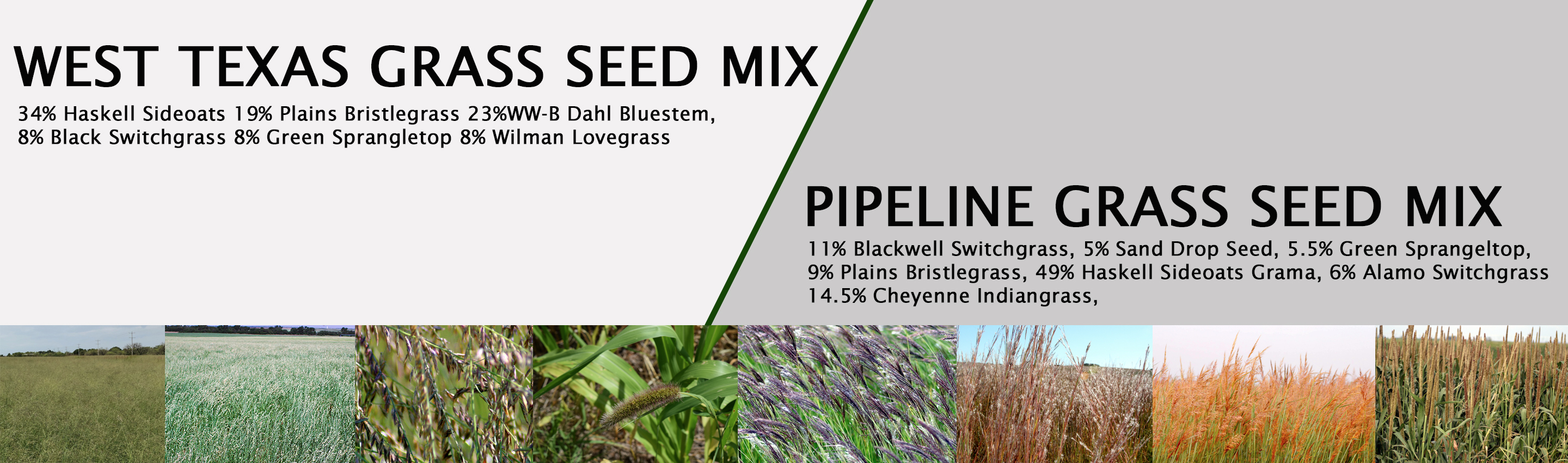 Ranch & Farm Supply | Feed Store & Livestock Supplies | Palmer Feed